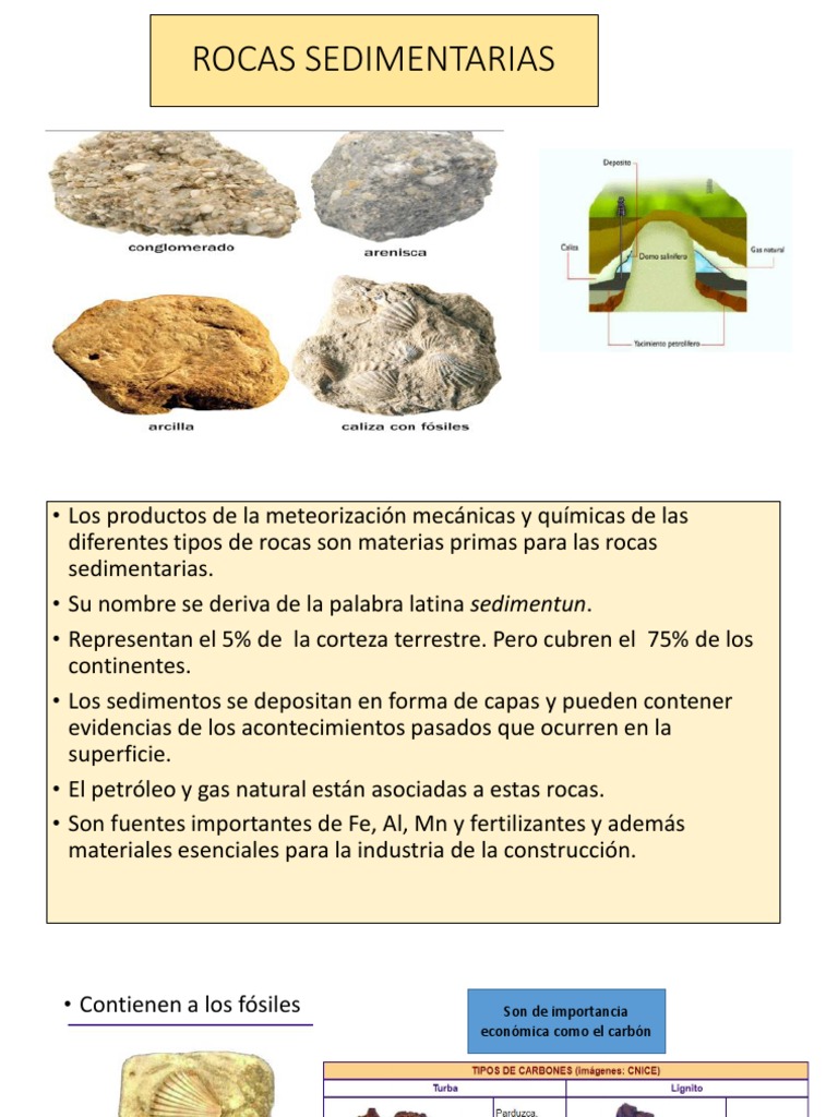 Clase Iv Rocas Sedimentarias y Metamorficas | PDF | Roca clástica ...