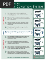 Tenderness Grading PDF | PDF | Medical Specialties | Musculoskeletal System