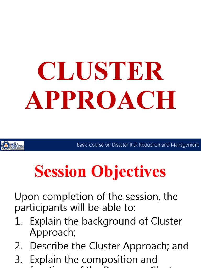 Understanding the Cluster Approach in DRRM | PDF | Internally Displaced ...