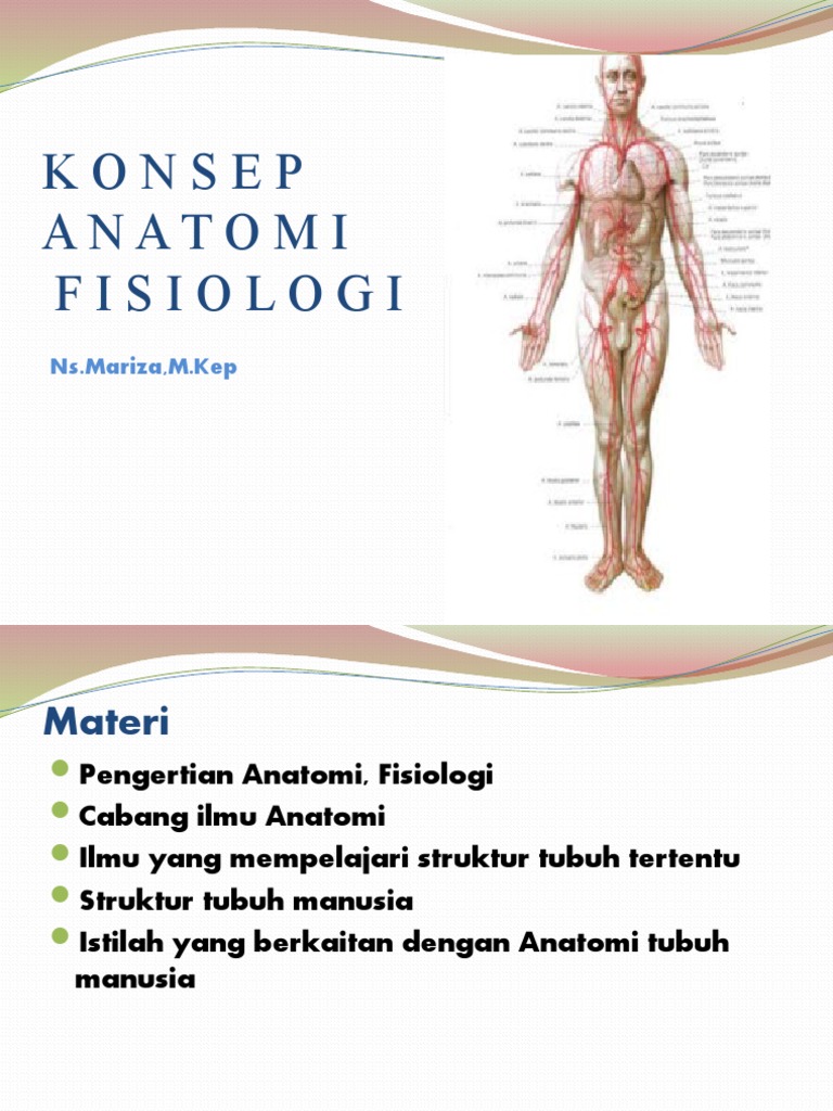 Konsep Anatomi Fisiologi | PDF