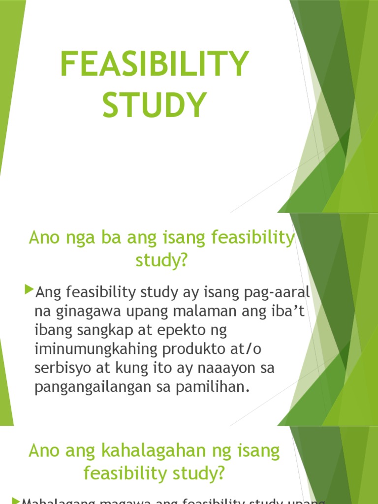Feasibility Study | PDF