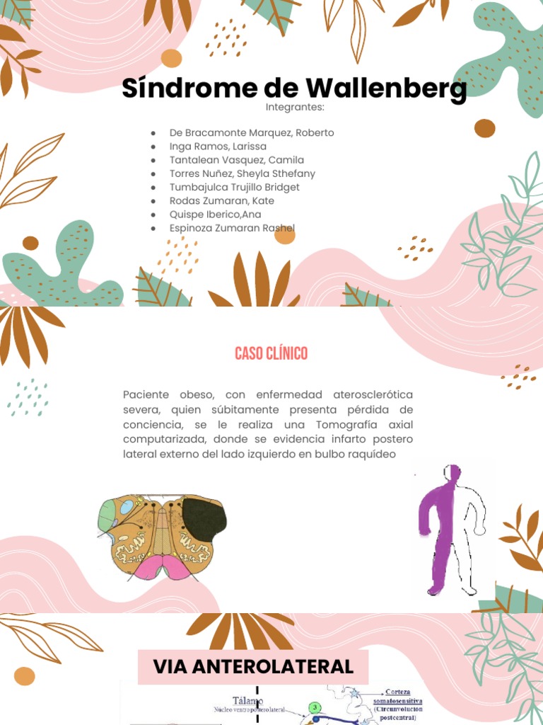 Sindrome de Wallenberg | PDF | Dolor | Enfermedades y trastornos humanos