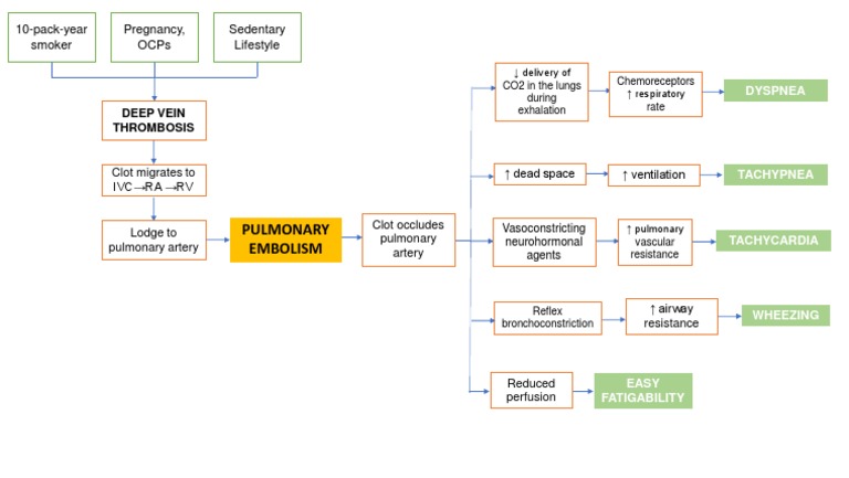 Pulmonary Embolism Pathophysiology | PDF