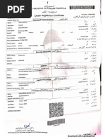 Pakistan Death Certificate | PDF