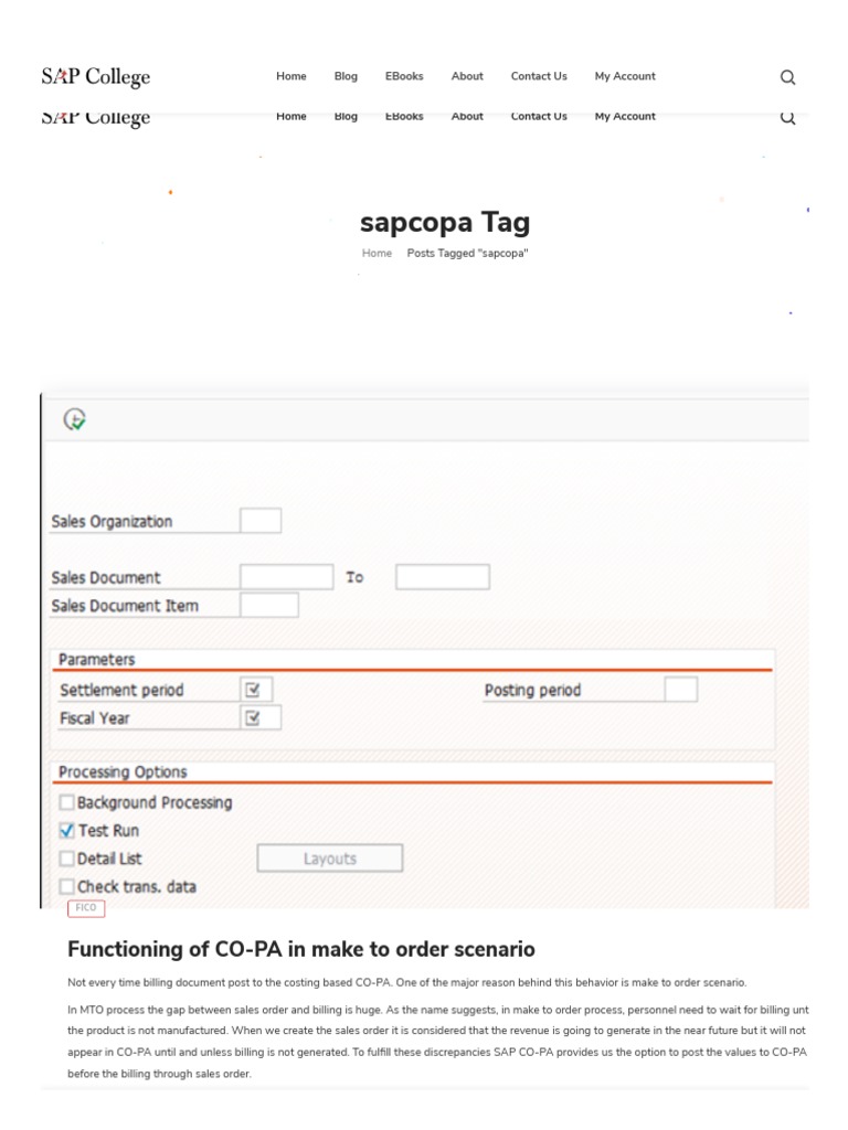 Sapcopa - Sap College | PDF | Computing | Business