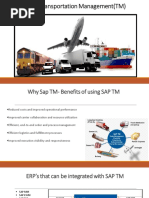 TM Customizing Basic Settings | PDF | Cargo | Logistics