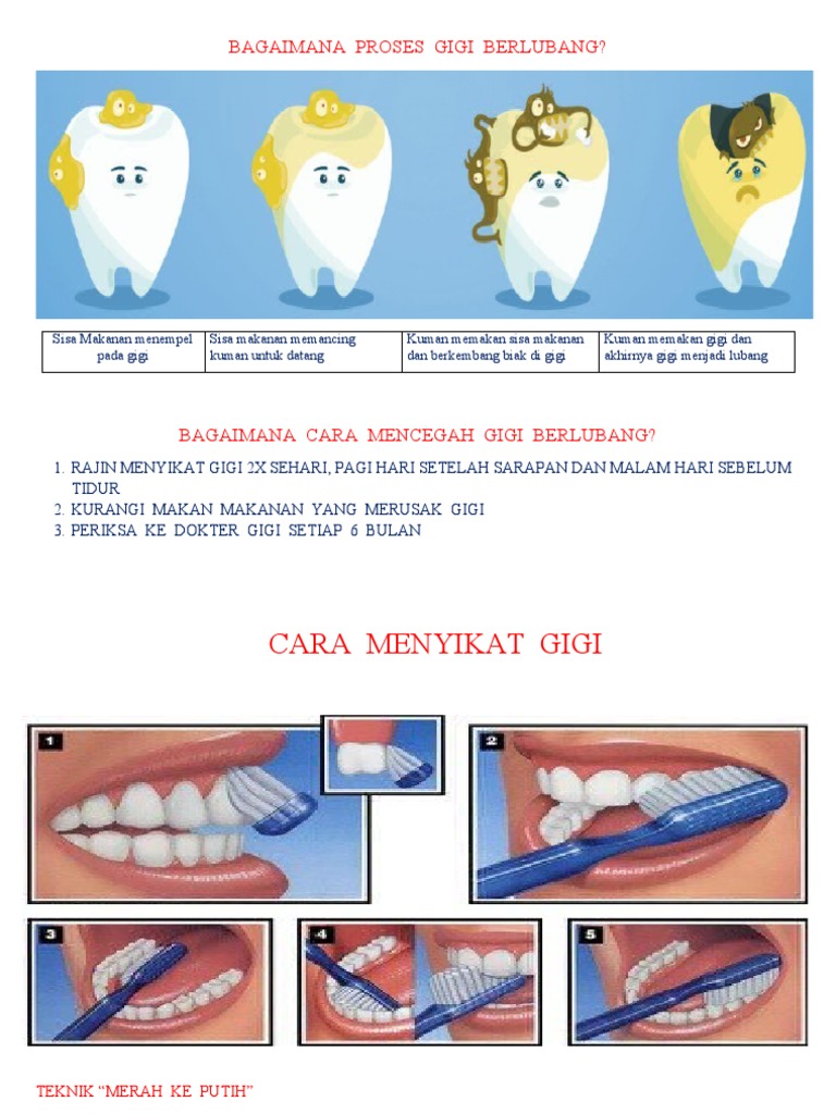 Bagaimana Proses Gigi Berlubang | PDF | Gaya Hidup