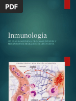 Polarización de Macrófagos M1 y M2 | PDF | Macrófago | Citocina