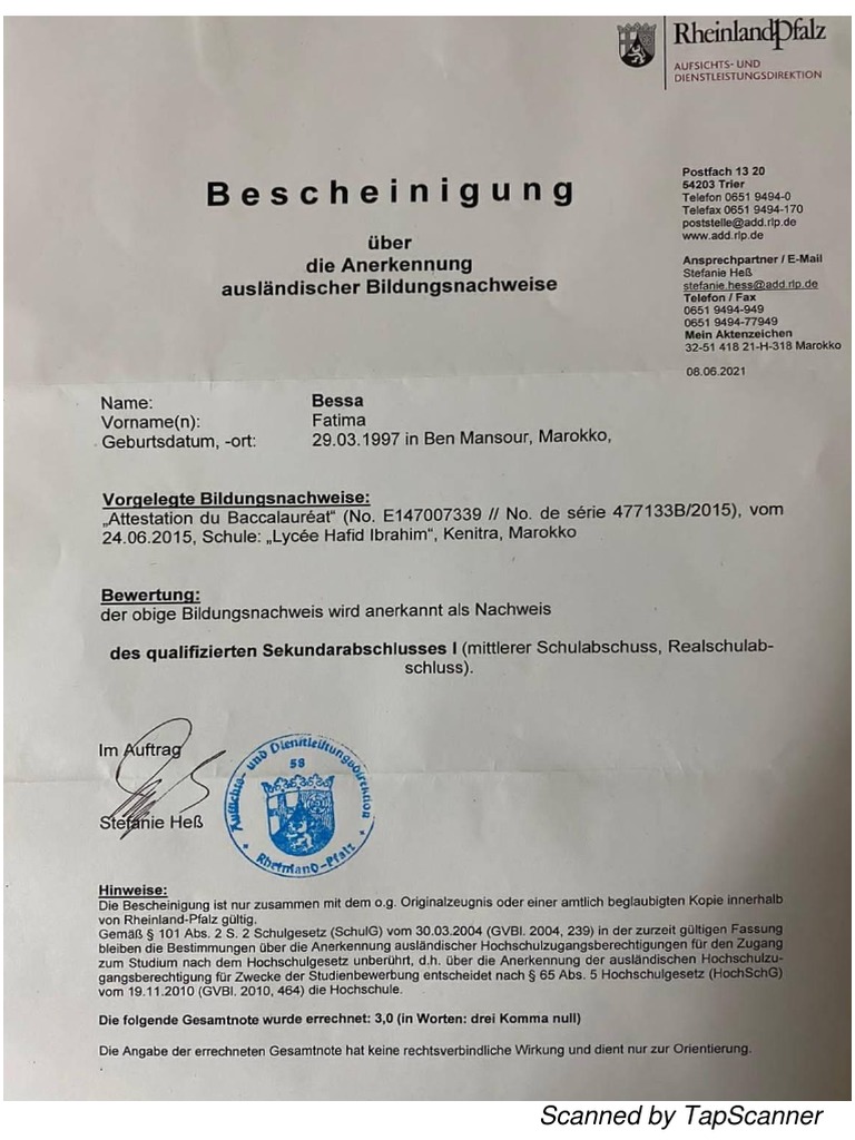 Die Anerkennung | PDF
