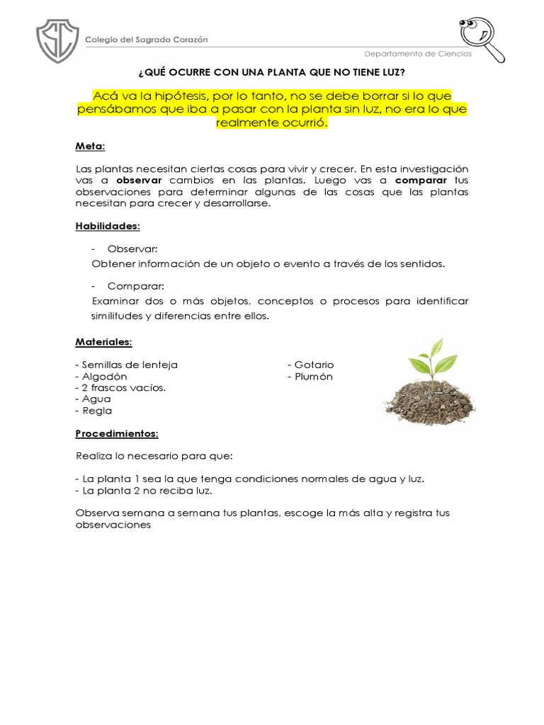 Pauta Experimento Las Necesidades de Las Plantas. | PDF | Plantas | Ligero