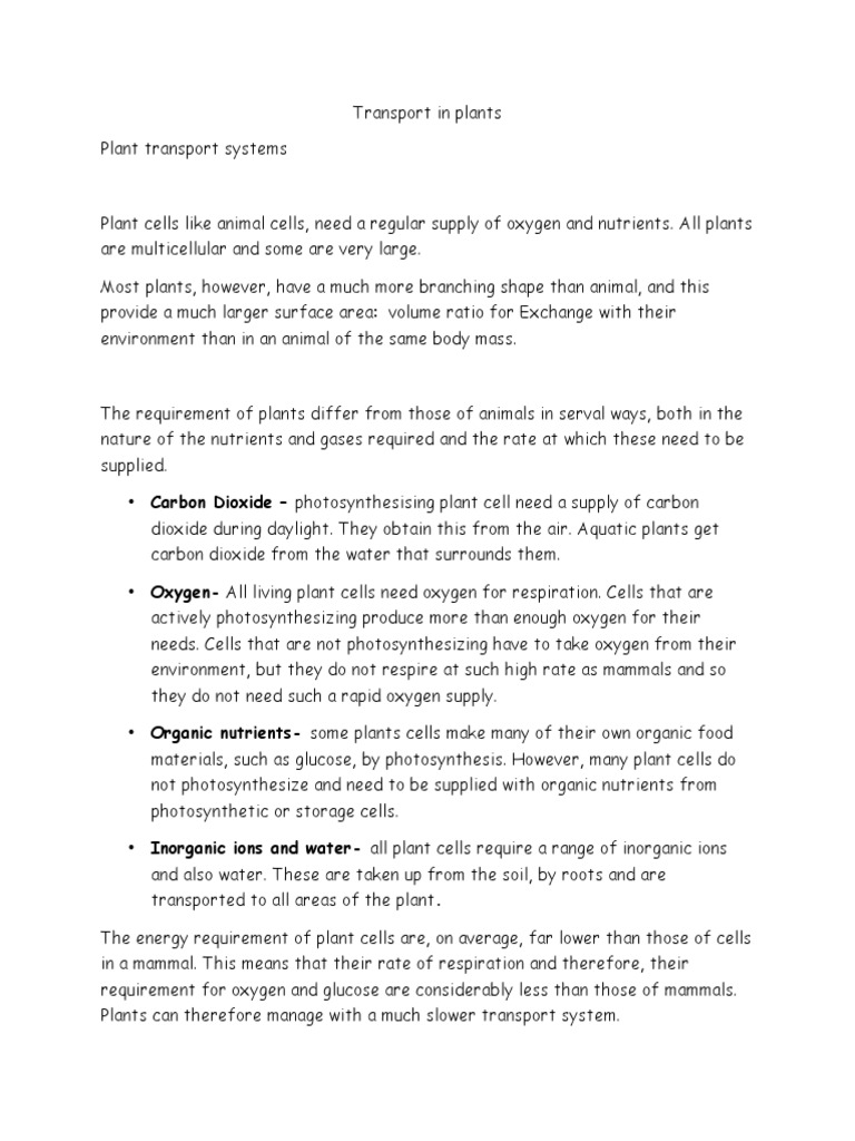 Transport in Plants. CAPE Biology. | PDF | Photosynthesis | Root