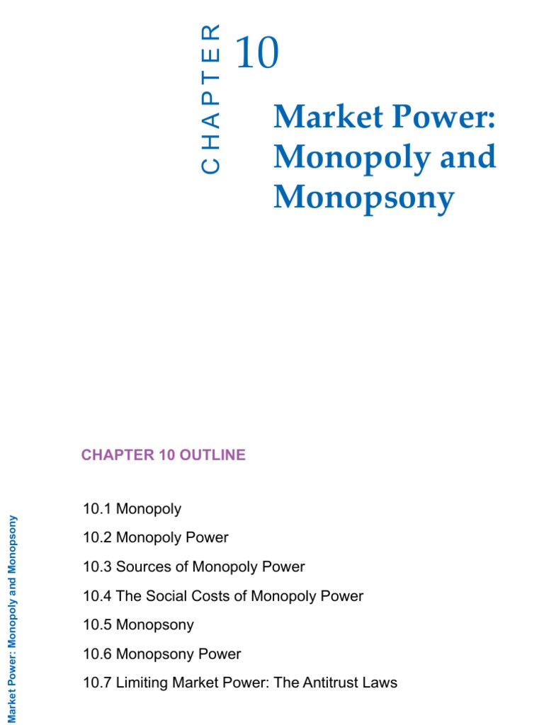Market Power: Monopoly and Monopsony | PDF | Market Power | Monopoly