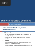 Fisa Solicitare CT | PDF