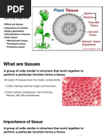 Tissues - Ppt - Grade 9 (1) | PDF | Epithelium | Tissue (Biology)