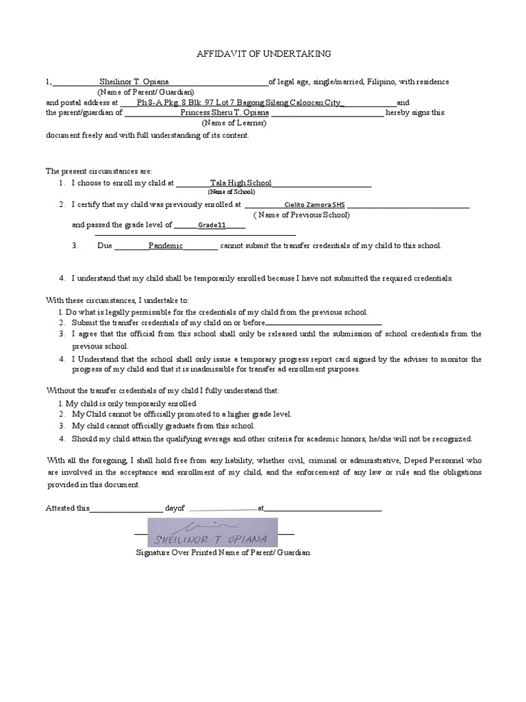 Affidavit of Undertaking. | PDF | Credential | Social Institutions