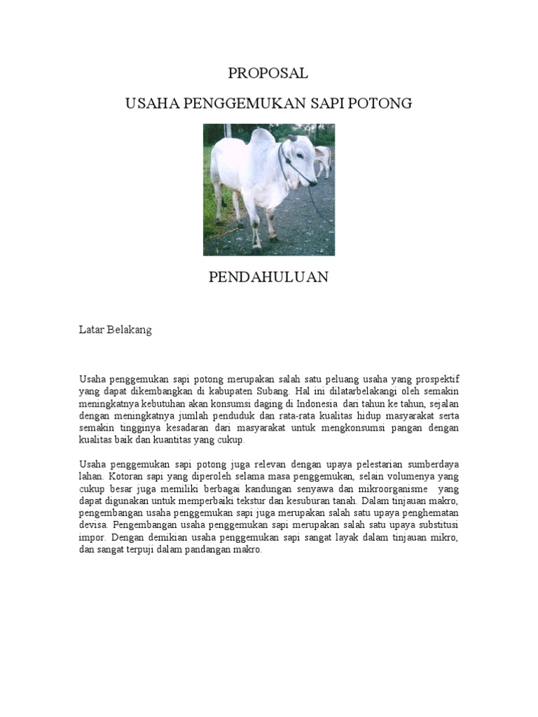 PROPOSAL Usaha SAPI POTONG | PDF