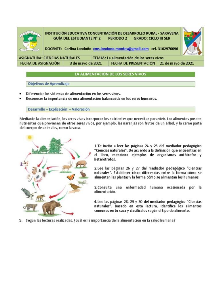 Guia 2 Segundo Periodo Ciencias Naturales Ciclo Iii | PDF