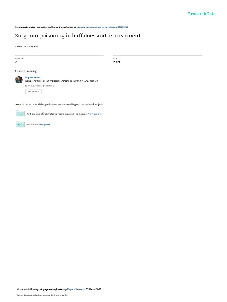 Sorghum Poisoning in Buffaloes and Its Treatment | PDF | Cyanide ...