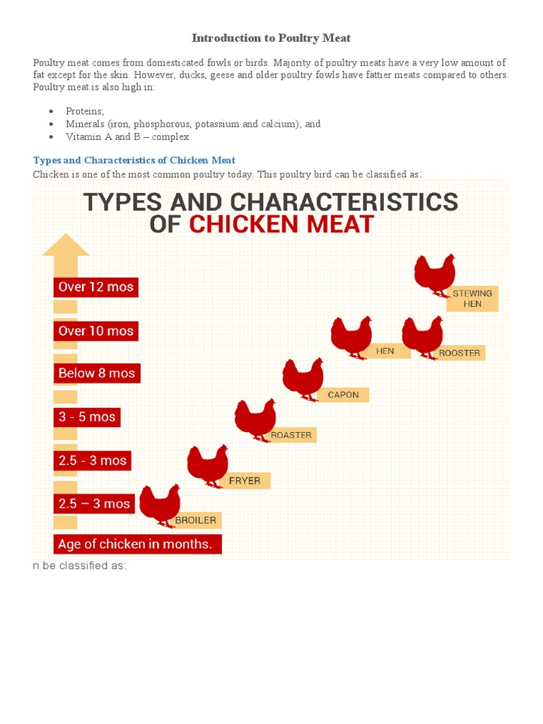 Introduction To Poultry Meat | PDF | Grilling | Roasting