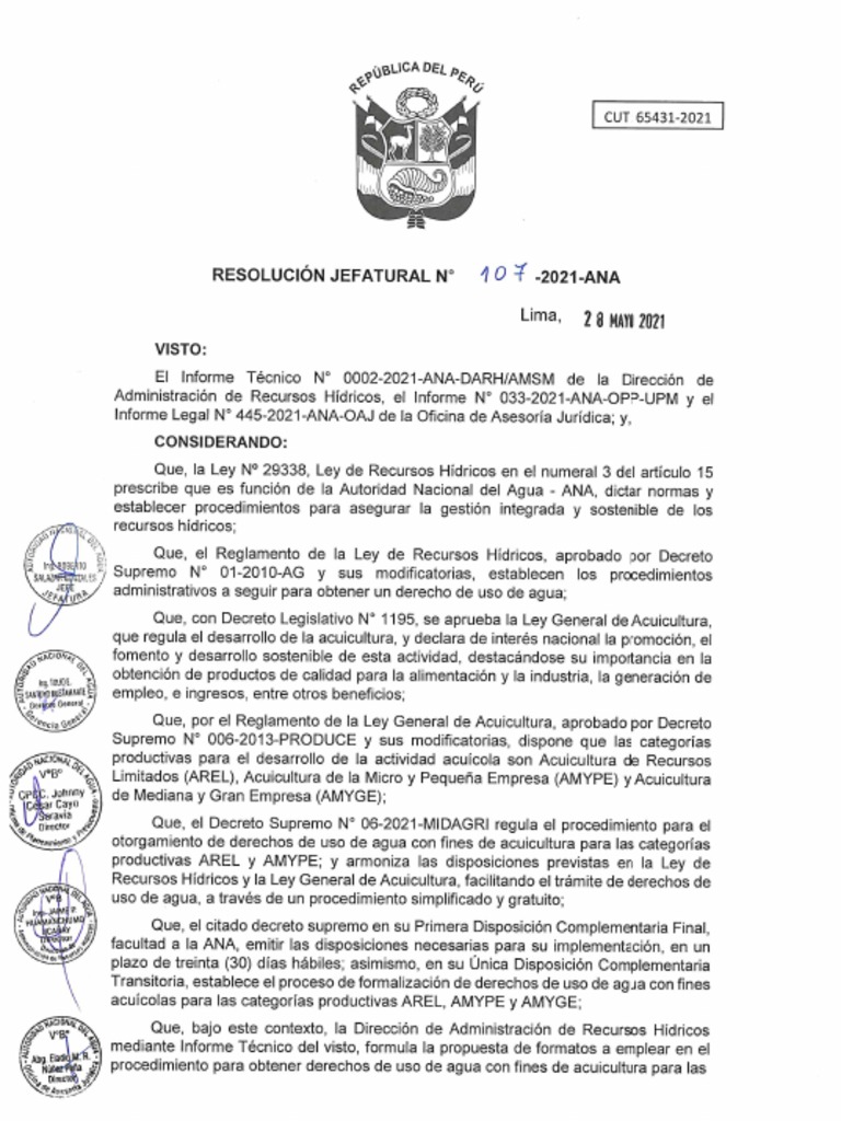 RJ 107-2021-Ana PDF | PDF