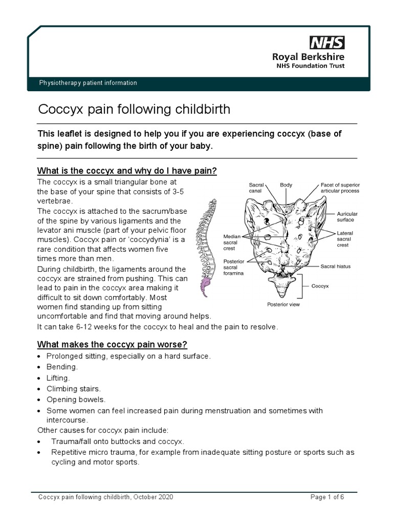 Coccyx Pain Following Childbirth - Oct20 | PDF | Pelvis ...