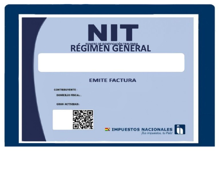 Planilla Nit Bolivia | PDF