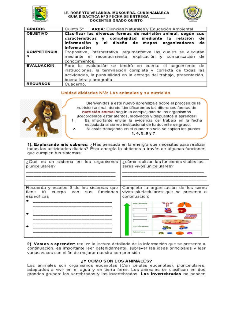 TALLER3 NUTRICIÓN EN Animalesnto | PDF | Digestión | Esófago