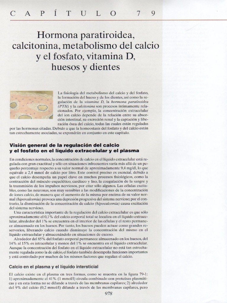 Guyton - Tratado de Fisiologia Medica - Cap 79 | PDF