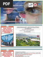 Ficha Técnica Spintor 12SC | PDF | Agua | Plaga (organismo)