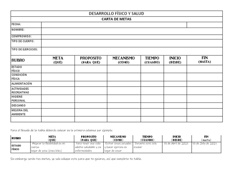 Carta de Metas | PDF