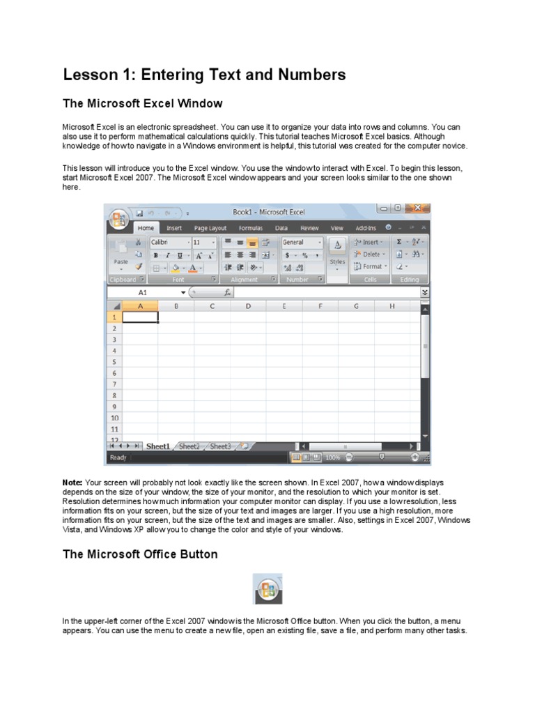 Lesson 1: Entering Text and Numbers: The Microsoft Excel Window | PDF | Microsoft Excel | Typefaces