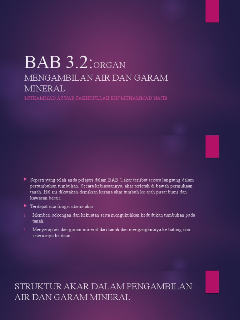 Bio Bab 3.2 | PDF