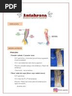 CAPÍTULO 17 - Prurigo Por Insectos (Cimiciasis) | PDF | Insecticida ...
