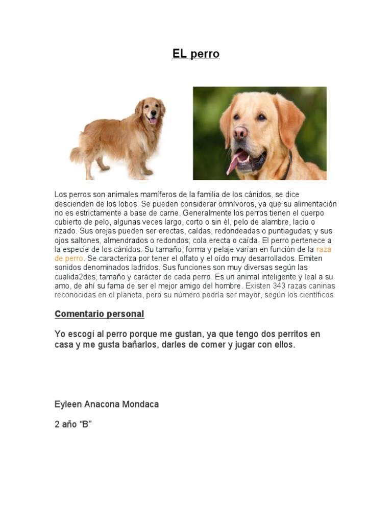 EL Perro | PDF