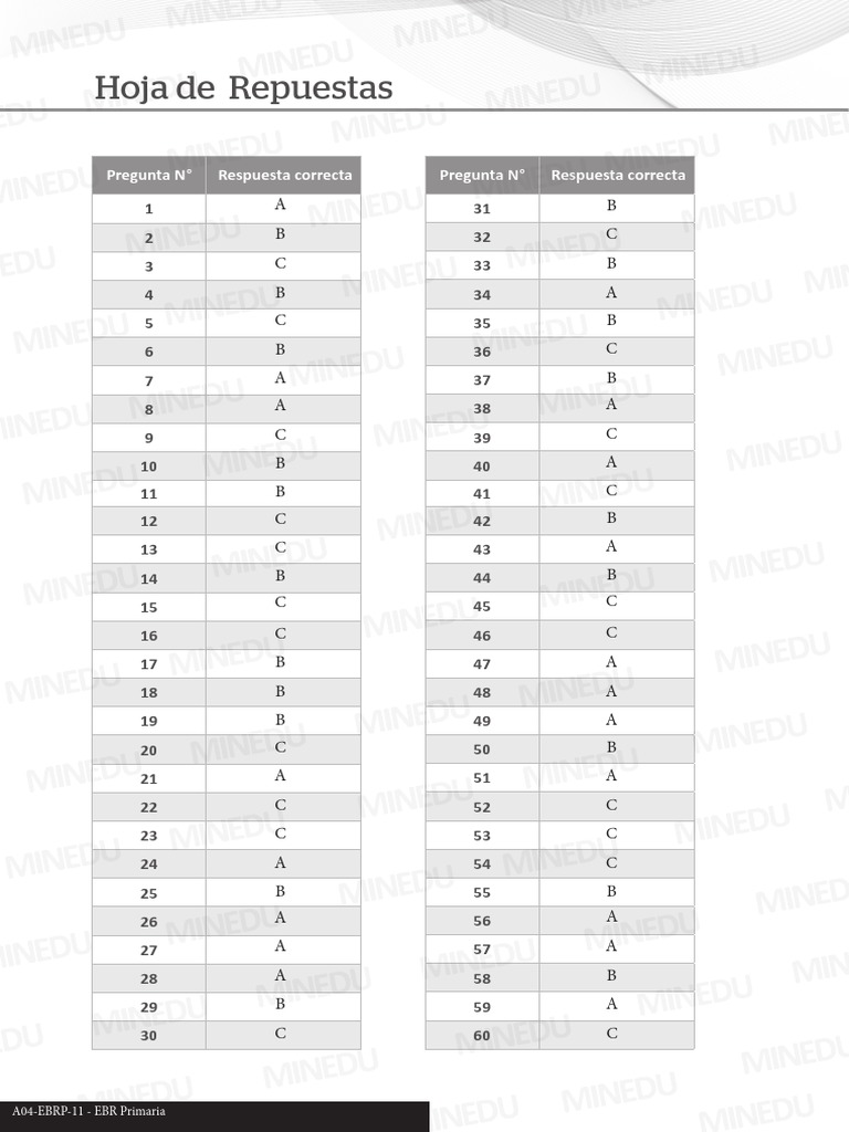 A04-EBRP-11 - EBR Primaria Claves | PDF