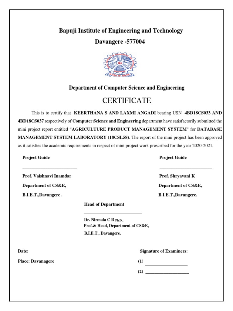Dbms Project | PDF | Relational Database | Databases