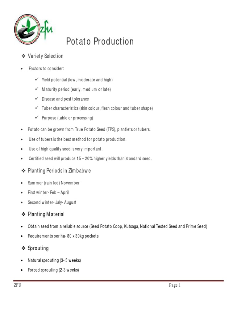 Potato Production: Variety Selection | PDF | Potato | Seed