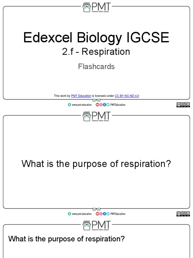 Flashcards - 2f Respiration - Edexcel Biology IGCSE | PDF | Cellular ...