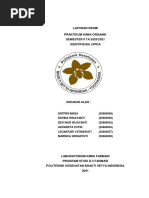 Rizki Ardiyanto - Glikolisis Dalam Sel Ragi | PDF