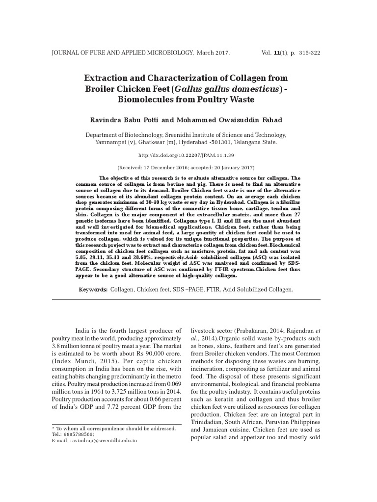 Collagen Extraction Process4 | PDF | Infrared Spectroscopy | Gel ...