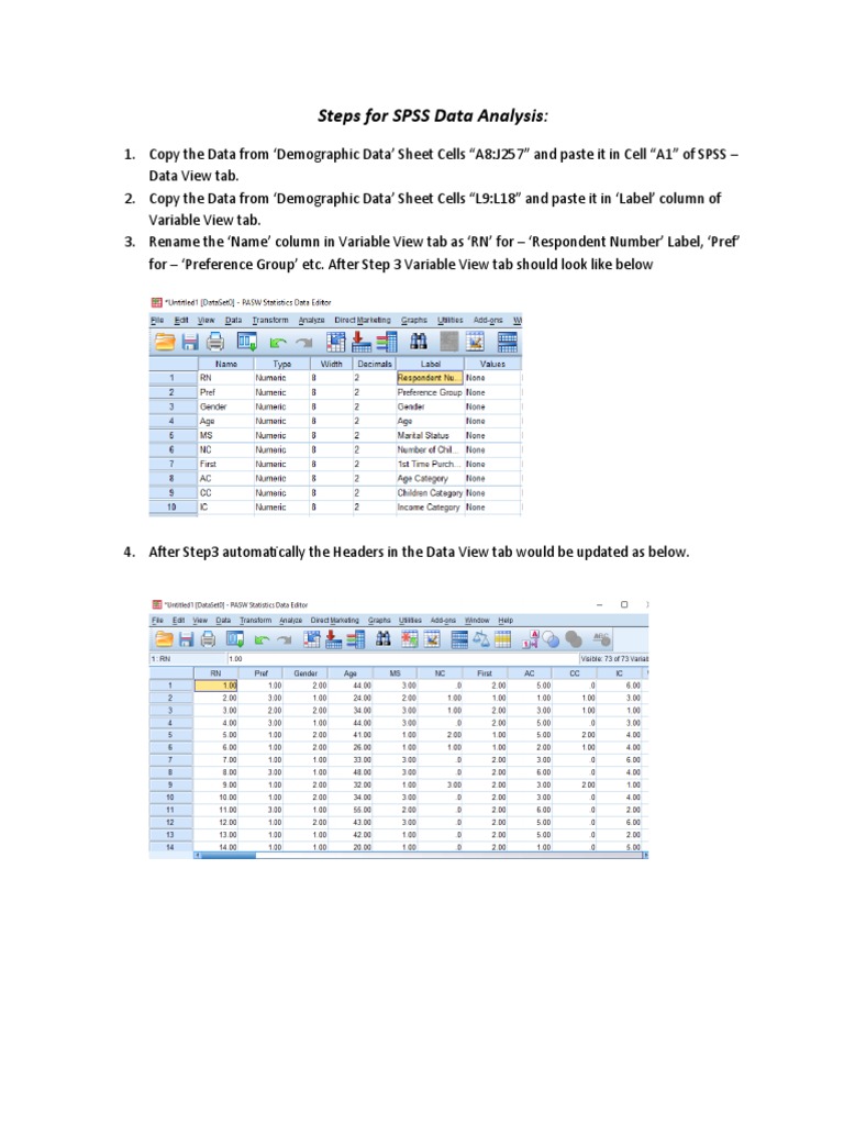 SPSS Data Analysis-Steps | PDF | Computing | Teaching Mathematics