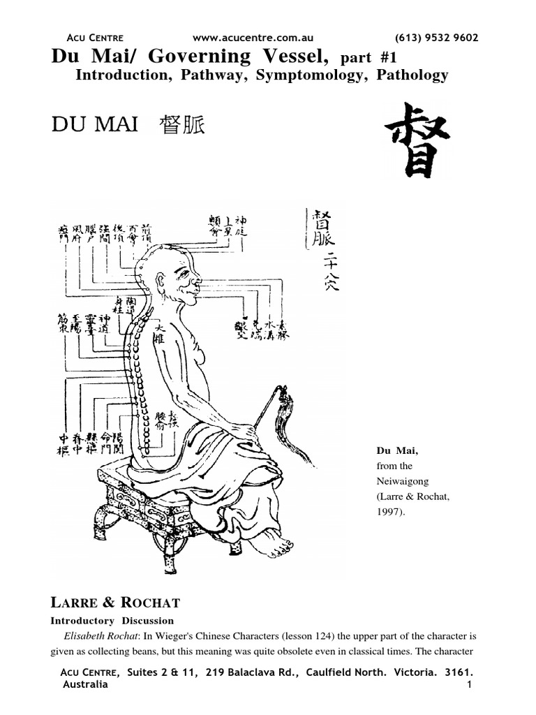 Du Mai (Parte 1) | PDF | Yin And Yang | Meridian (Chinese Medicine)