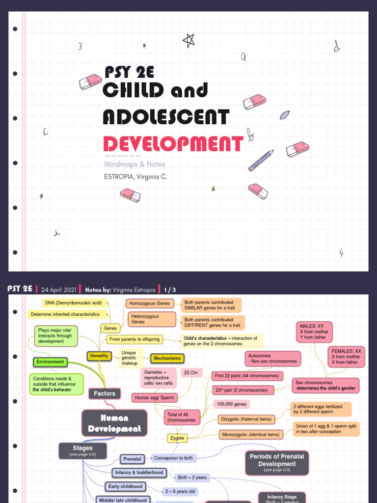 PSY2E: Child & Adolescent Development Mind Map | PDF | Twin | Prenatal ...