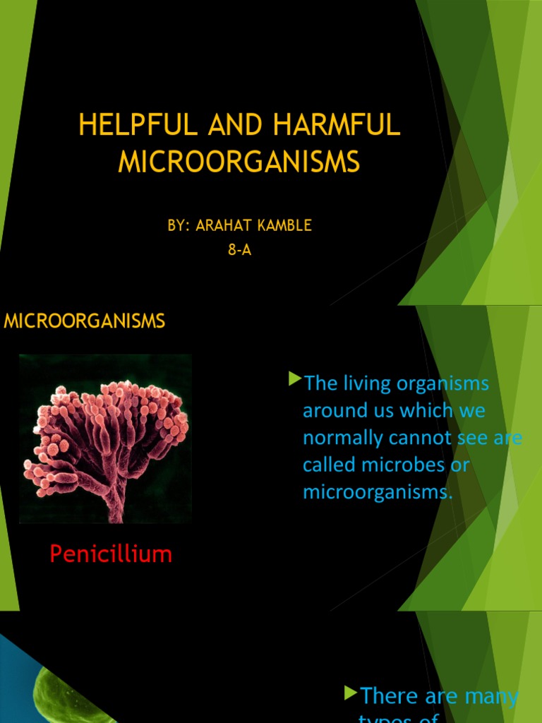 Helpful and Harmful Microorganisms (Autosaved) | PDF | Pathogen ...