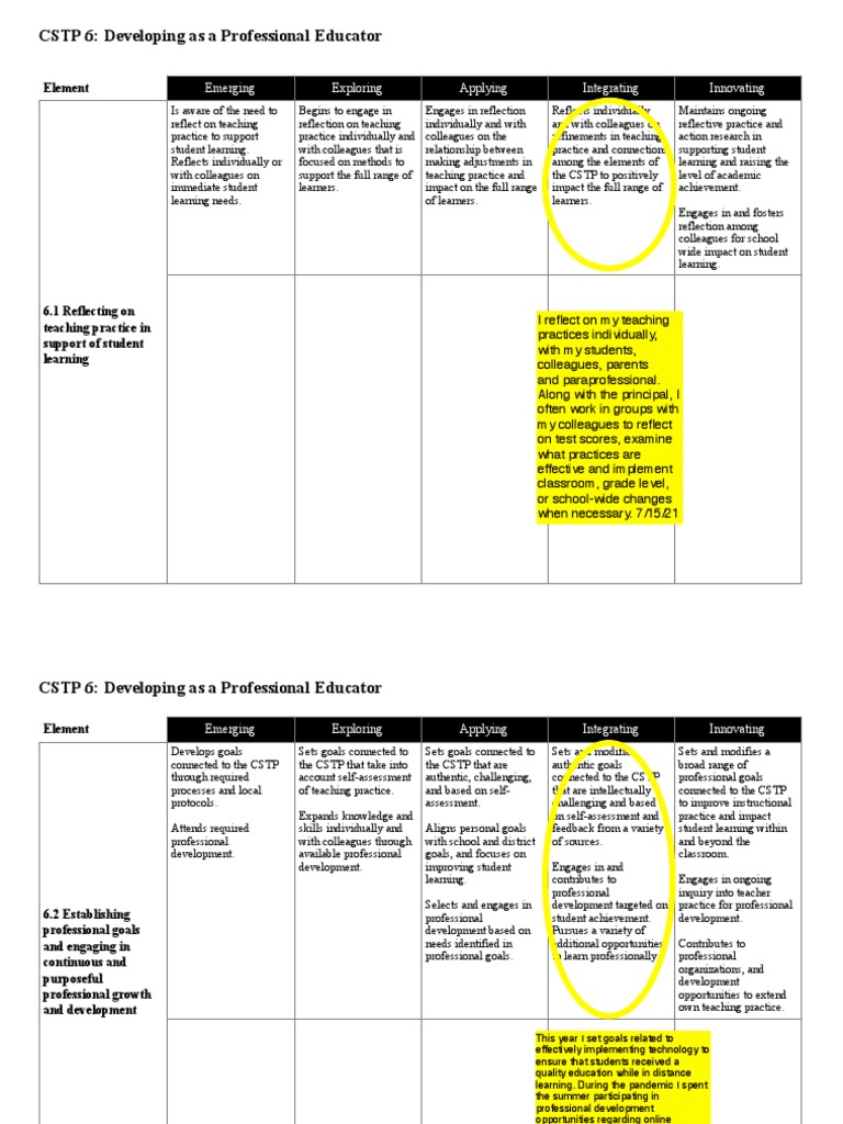 CSTP 6 Mitchell 7 | PDF | Goal | Teachers