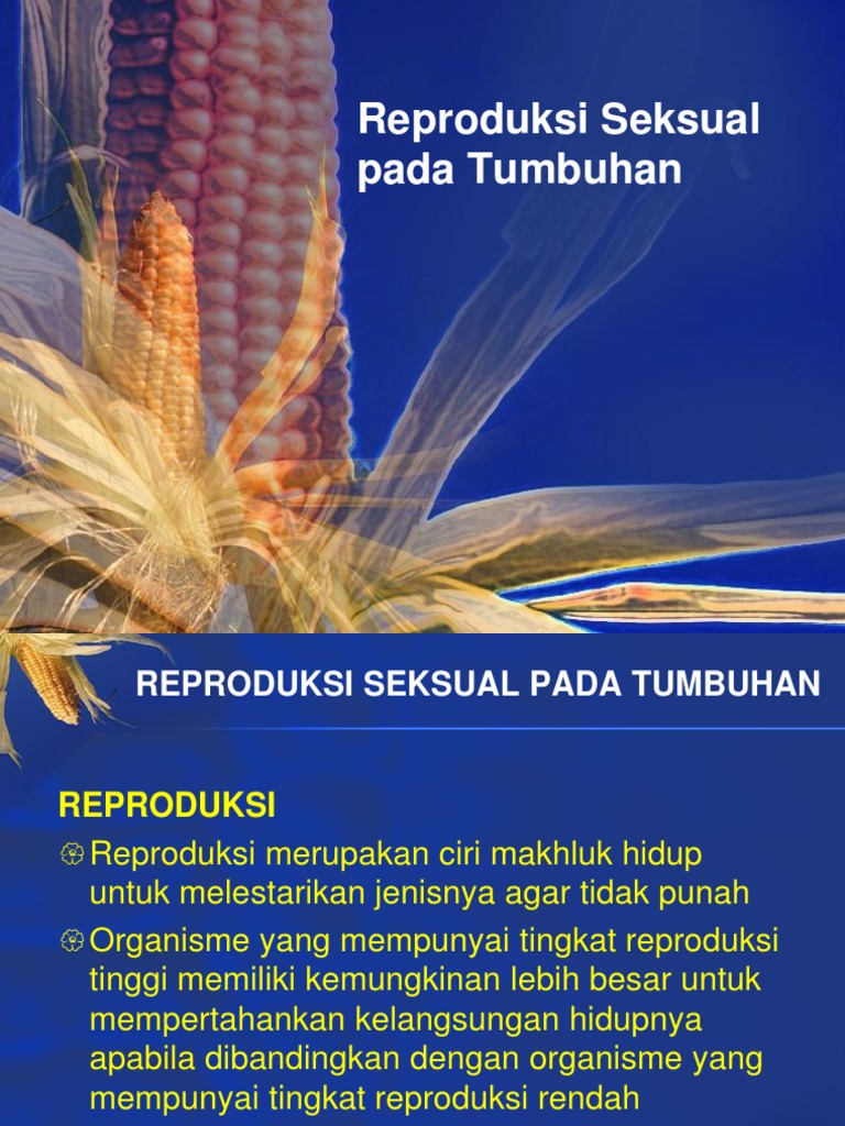 Materi III - Reproduksi Seksual Pada Tumbuhan | PDF