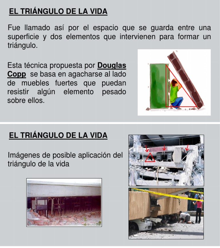 Triángulo de la Vida: Técnica y Ejemplos | PDF