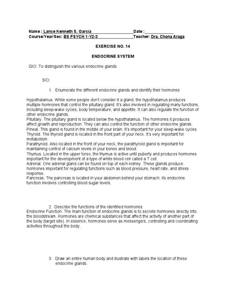 WEEK 15 LAB EXERCISE - Endocrine System | PDF
