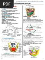 23 - Physiologie Des Fosses Nasales Et Des Sinus | PDF | Épithélium ...