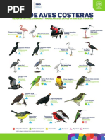 AFICHE.A3 - Recursos Pesqueros (Mar Argentino) | PDF | Pescado